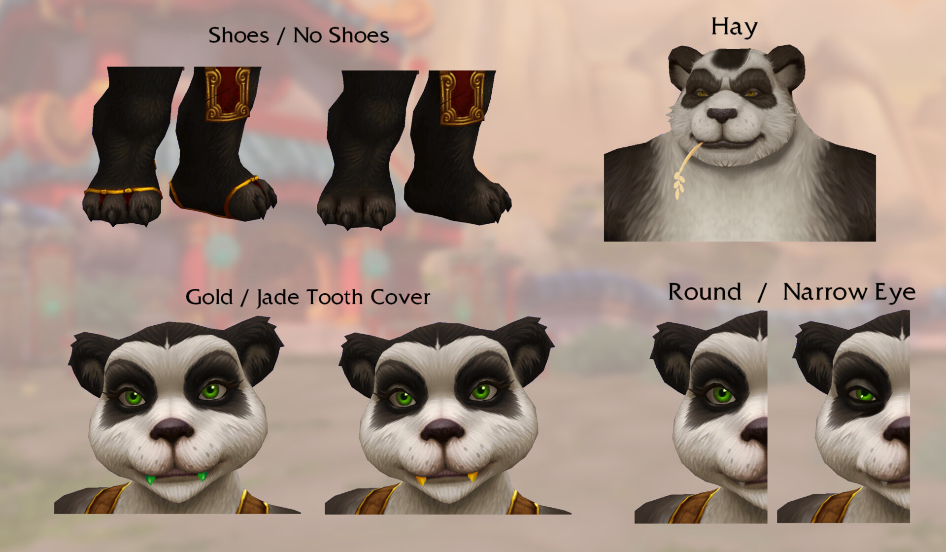Pandaren Female Hairstyles