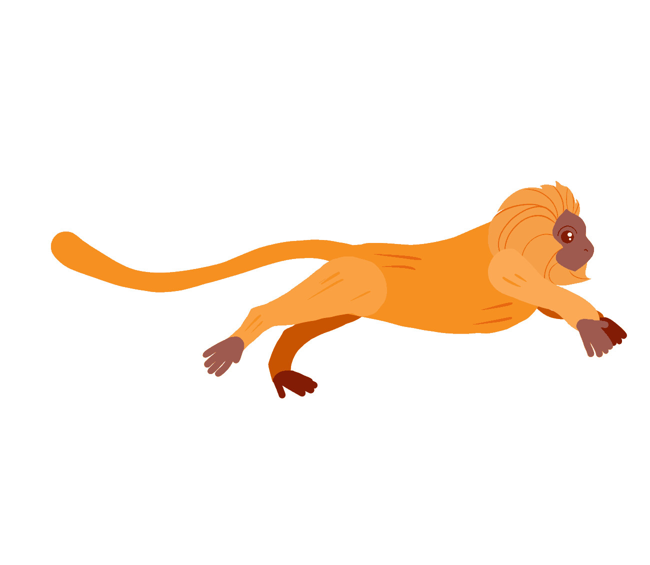 ArtStation - Golden Lion Tamarin running