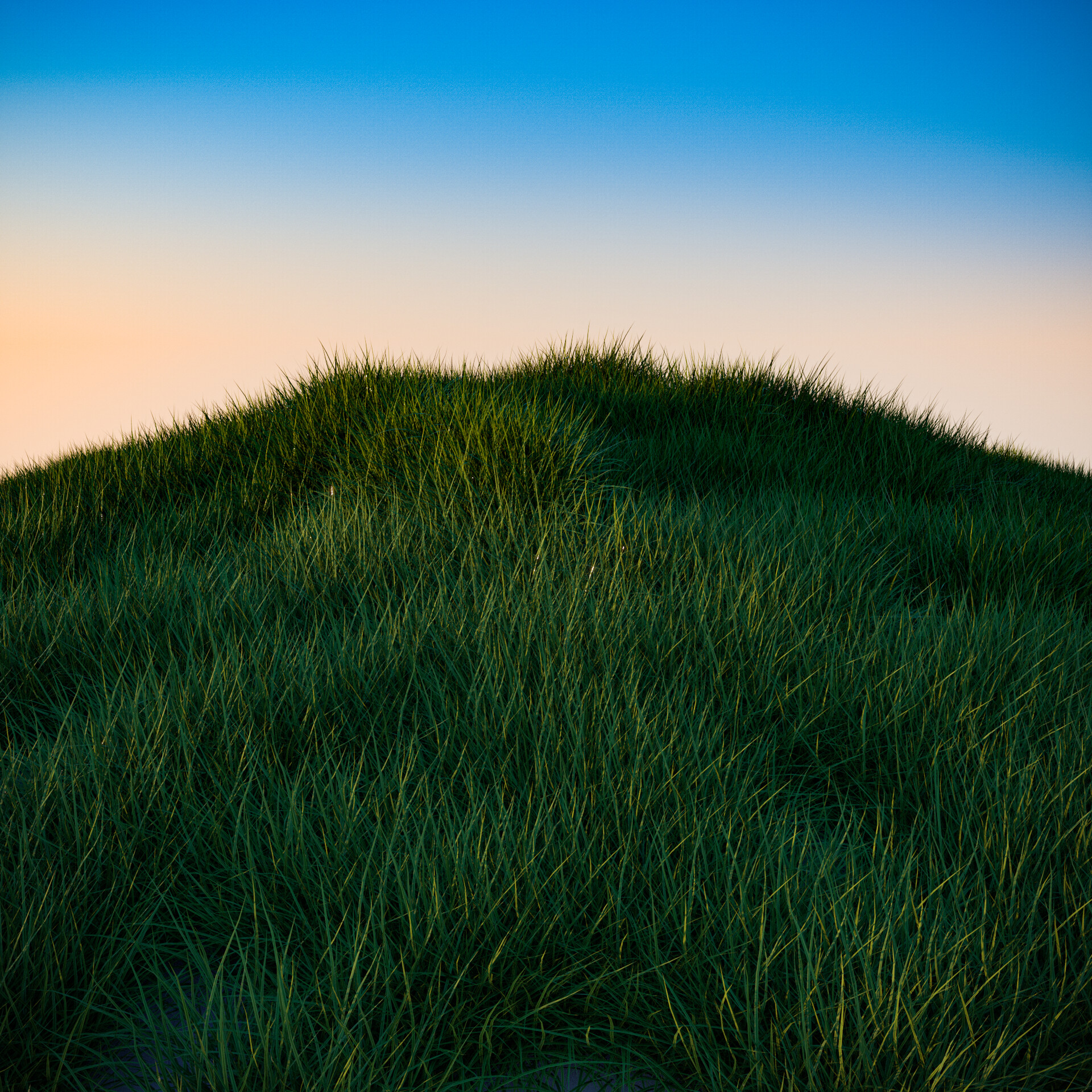 ArtStation - Simple Hill