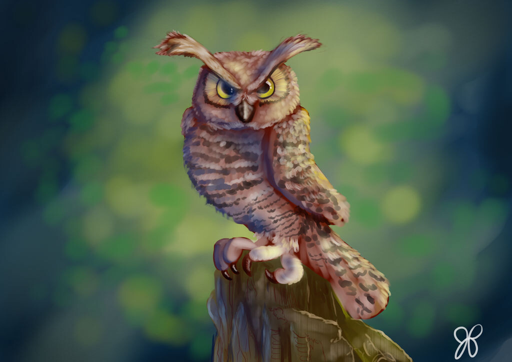 ArtStation - owl