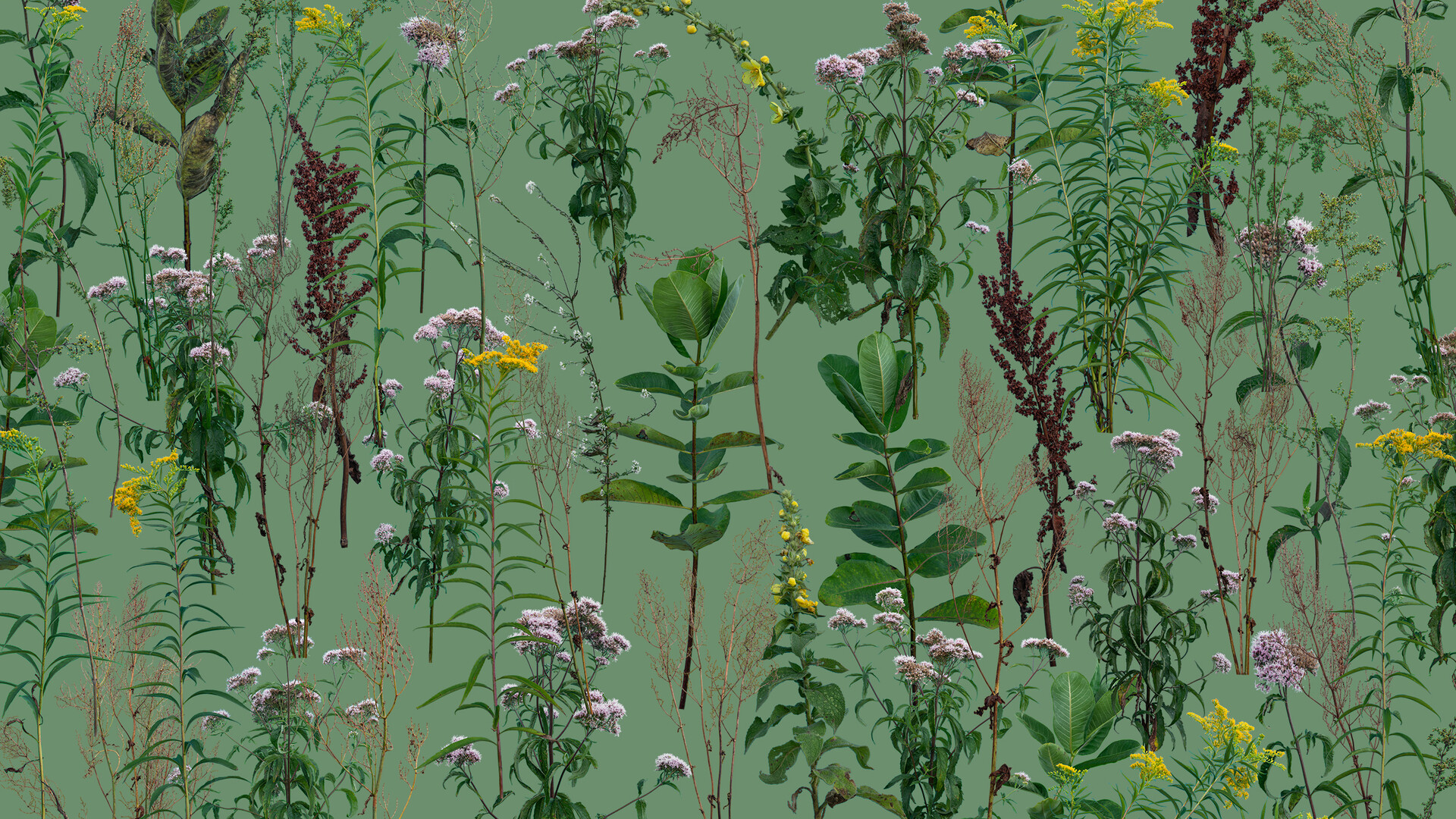 ArtStation - Meadow grass