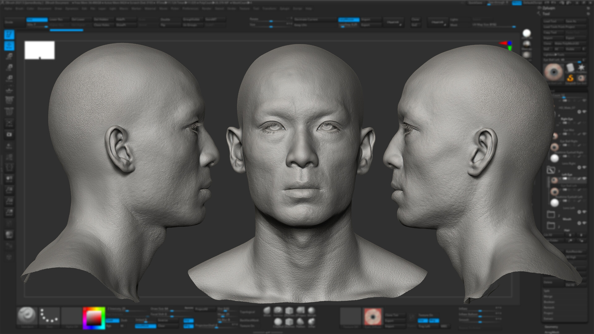 3D Scan Store - Male Head Scan