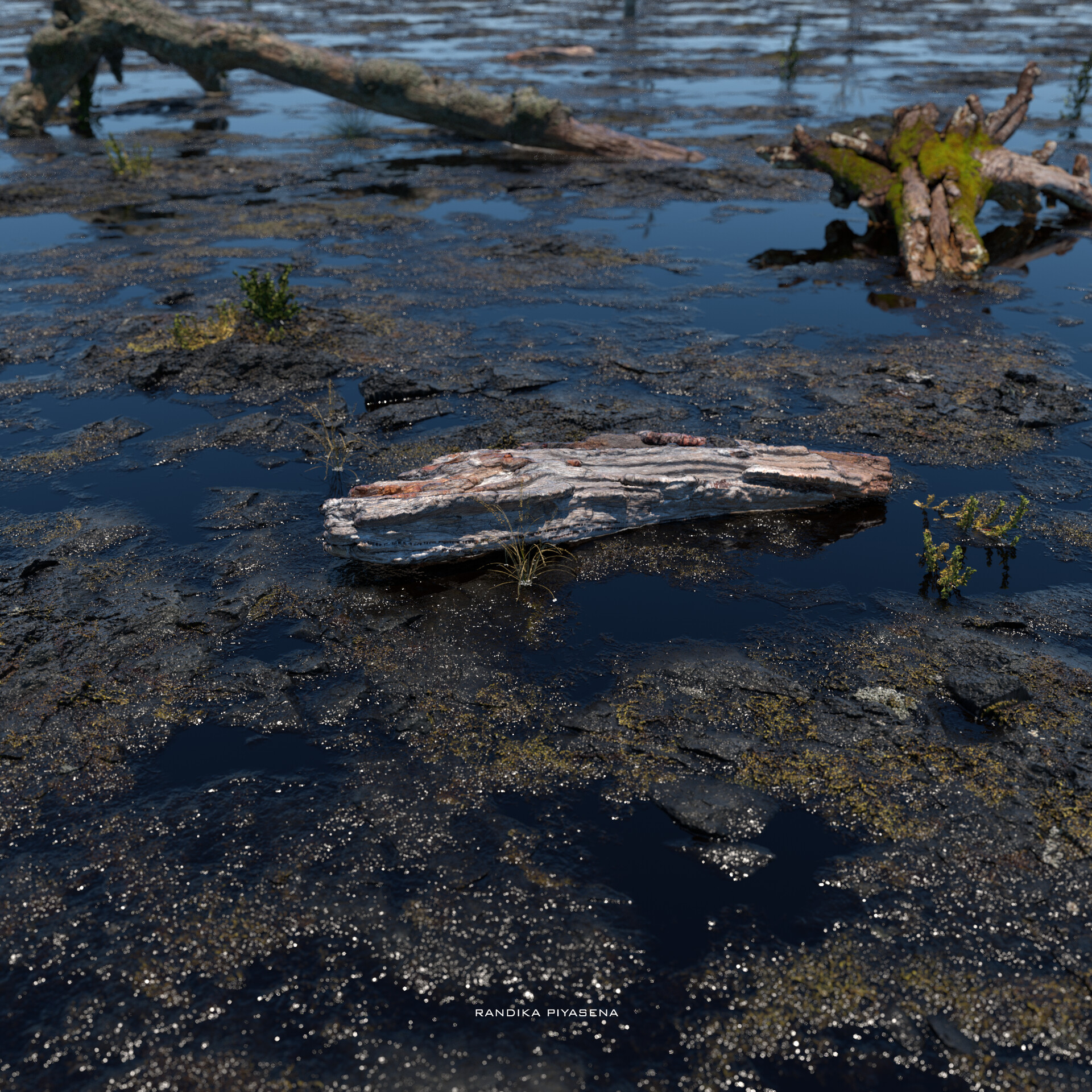ArtStation - Swamp
