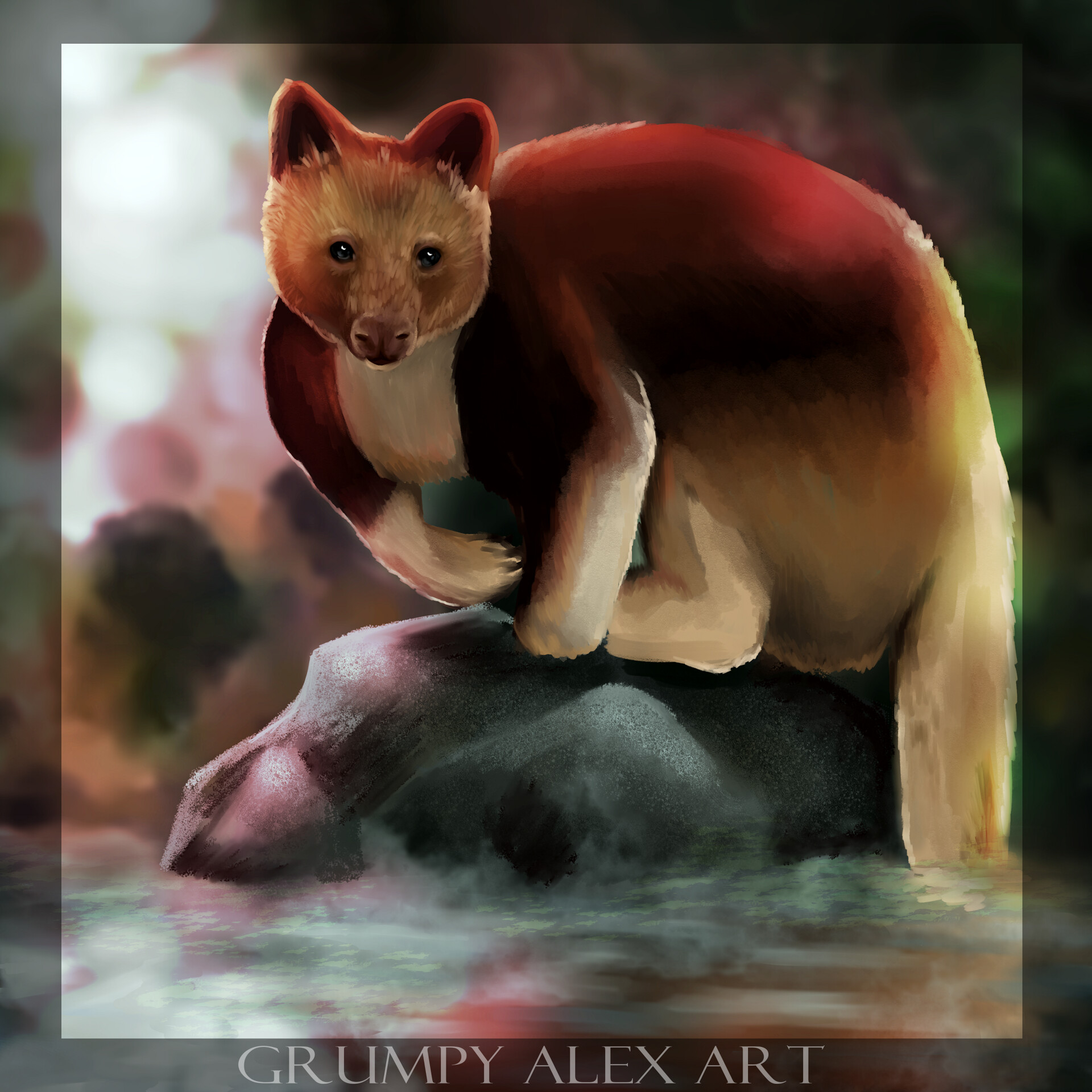 ArtStation - Tree Kangaroo