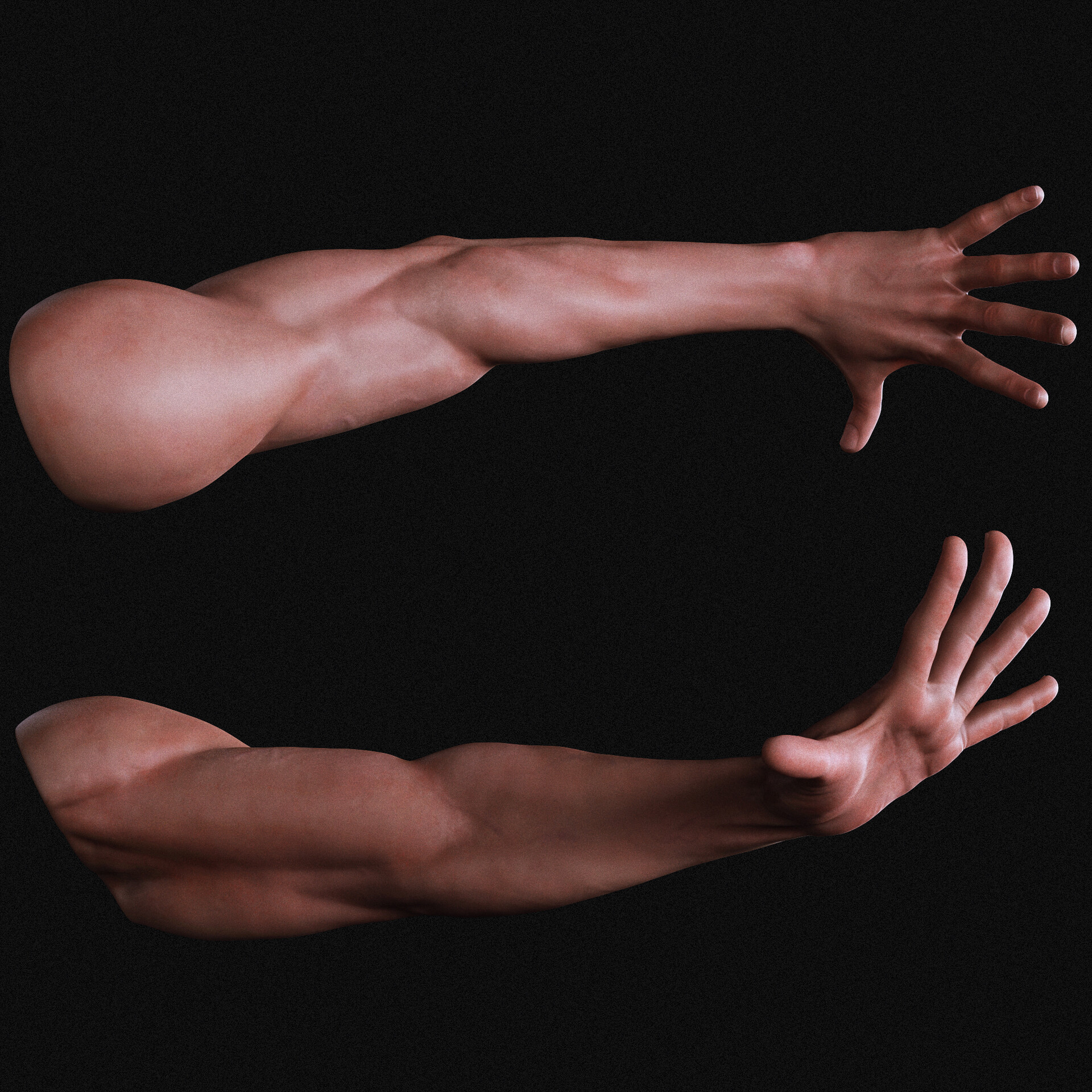 Guga Baraldi - Arm studies