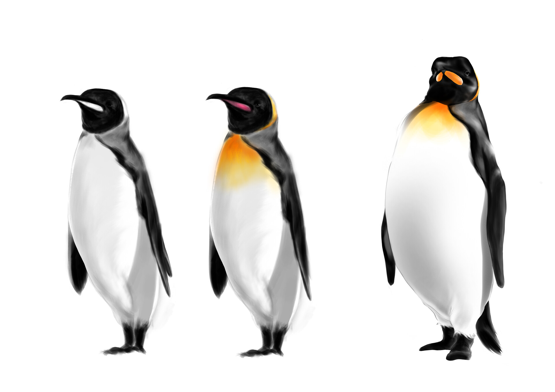 ArtStation - Penguin sketch