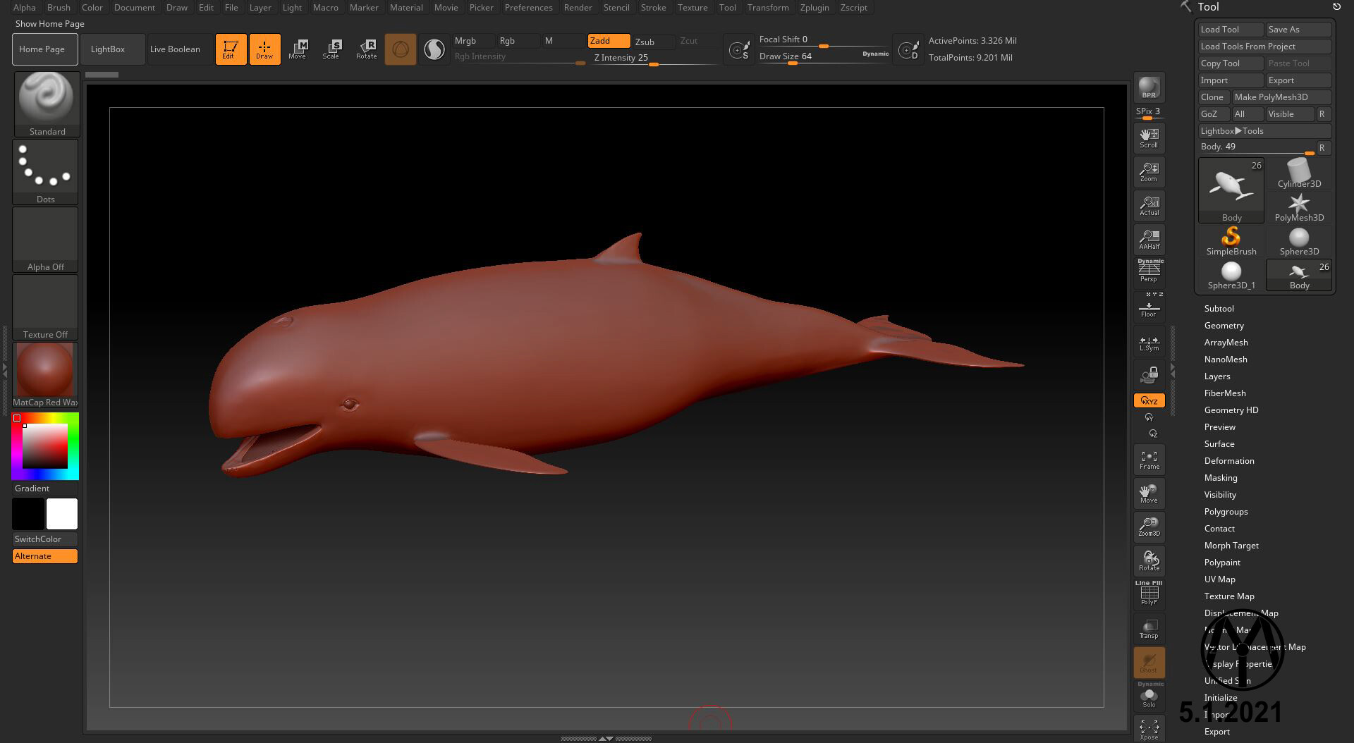 how to draw a irrawaddy dolphin