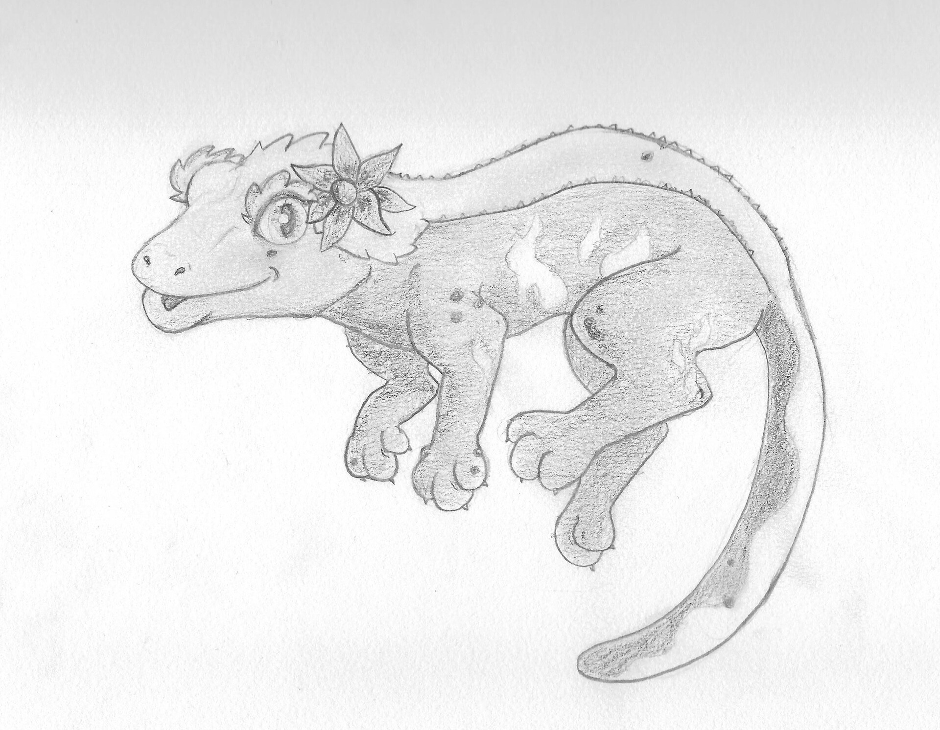 crested gecko coloring pages