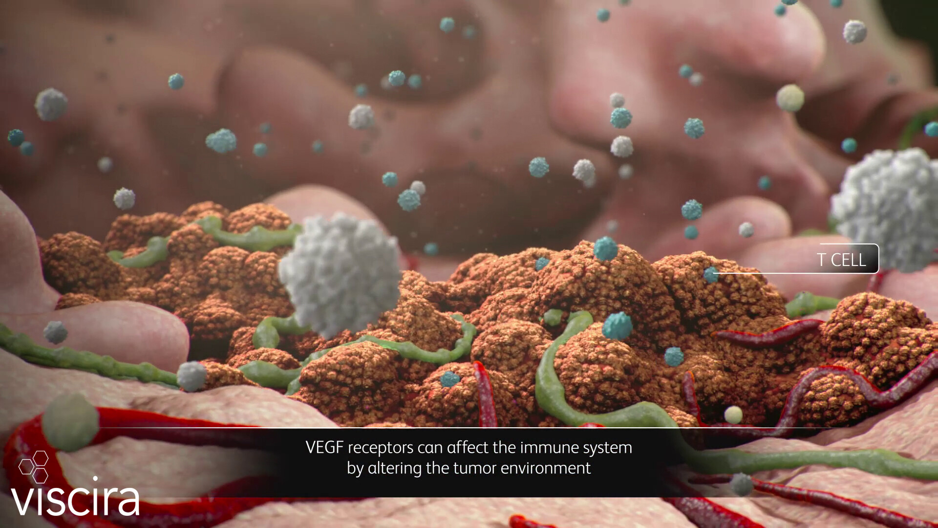 ArtStation - VEGF Medical Animation.