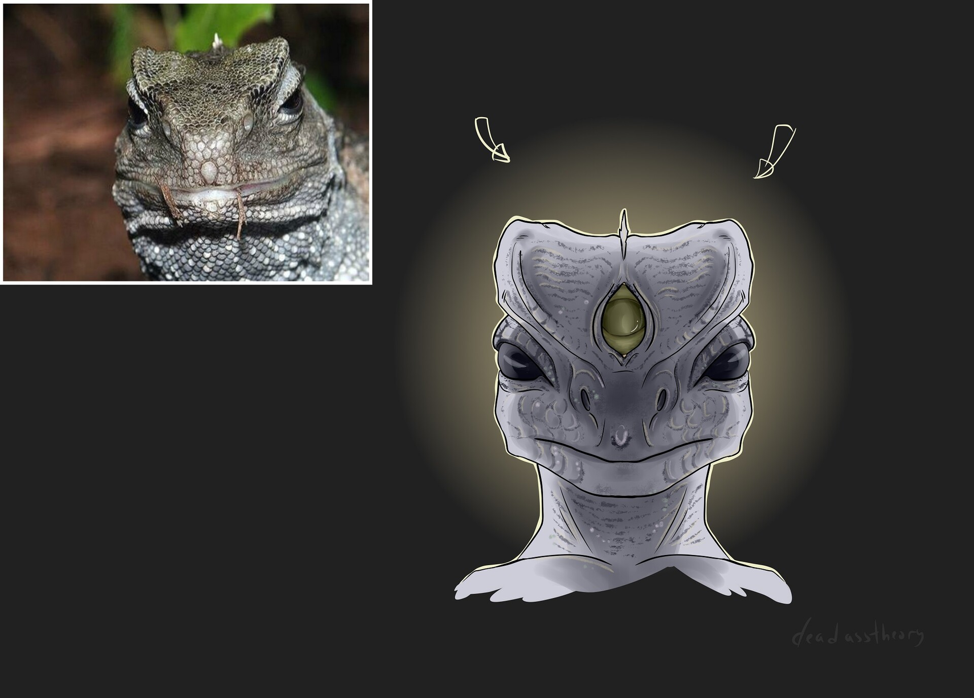 ArtStation - lizard tuatara