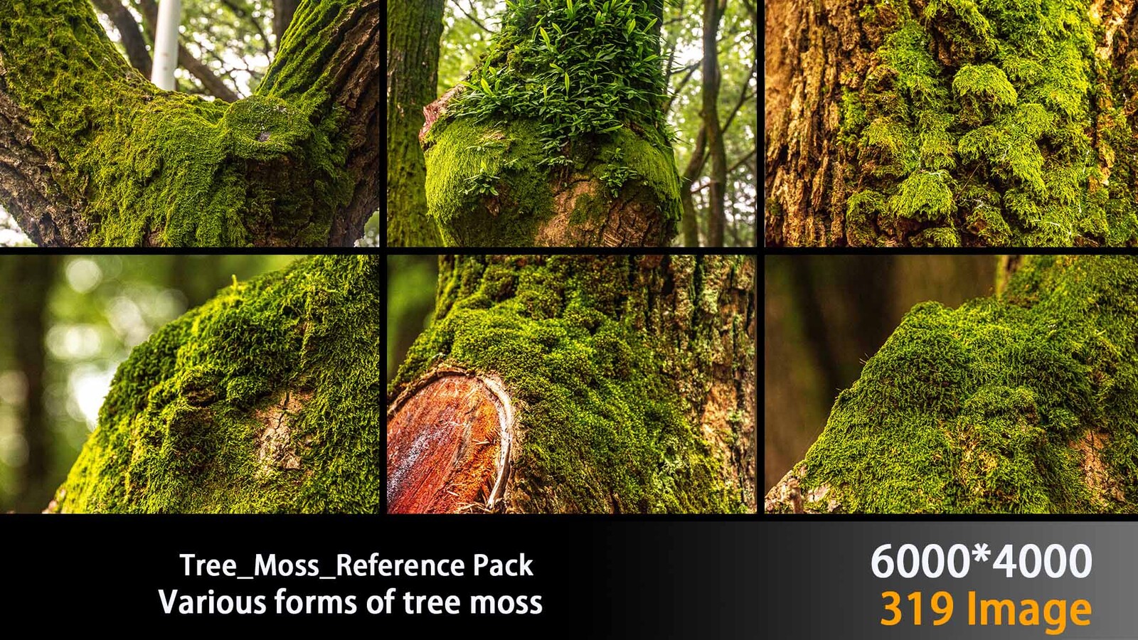 pig jio - Tree_moss_Reference Pack