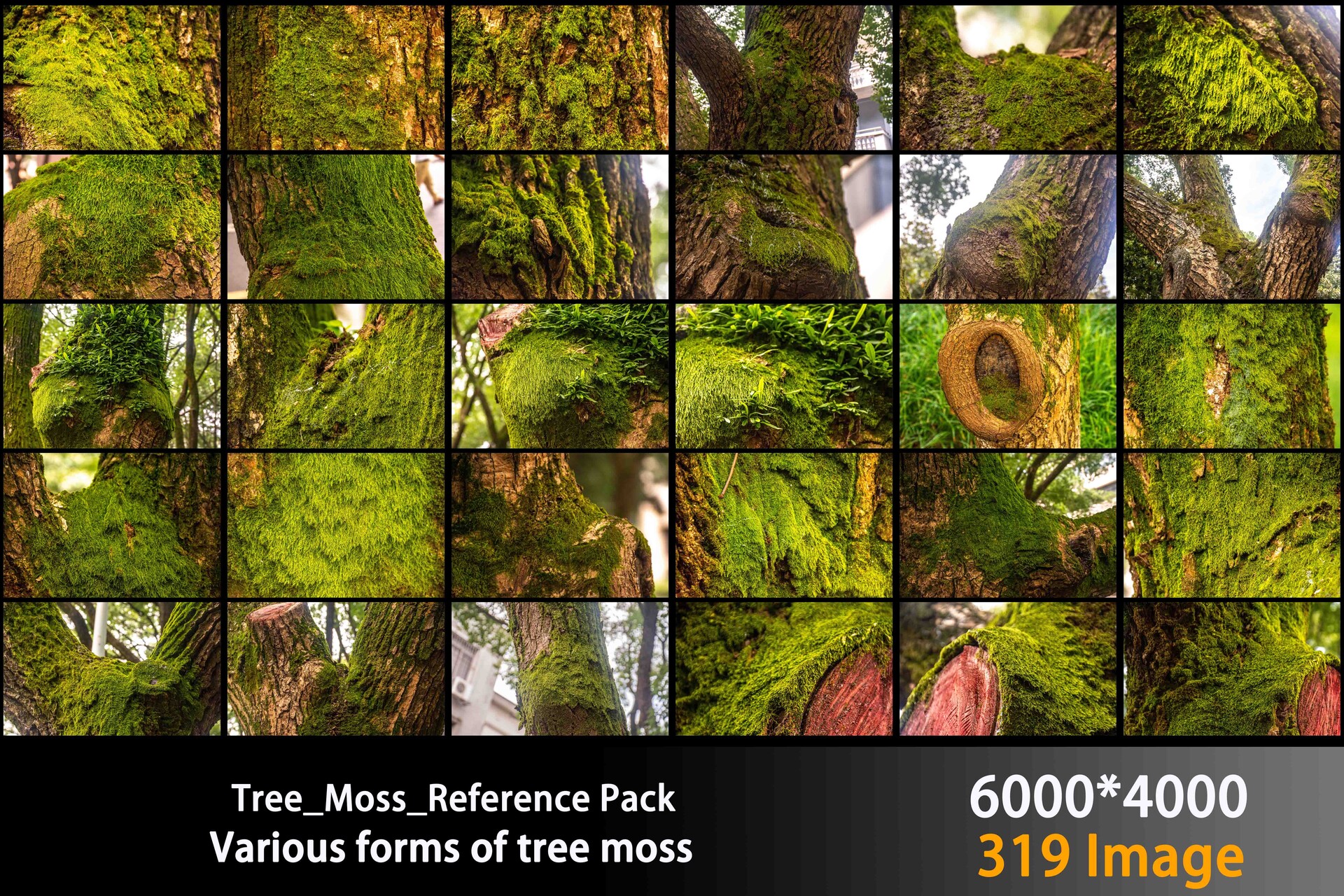 pig jio - Tree_moss_Reference Pack