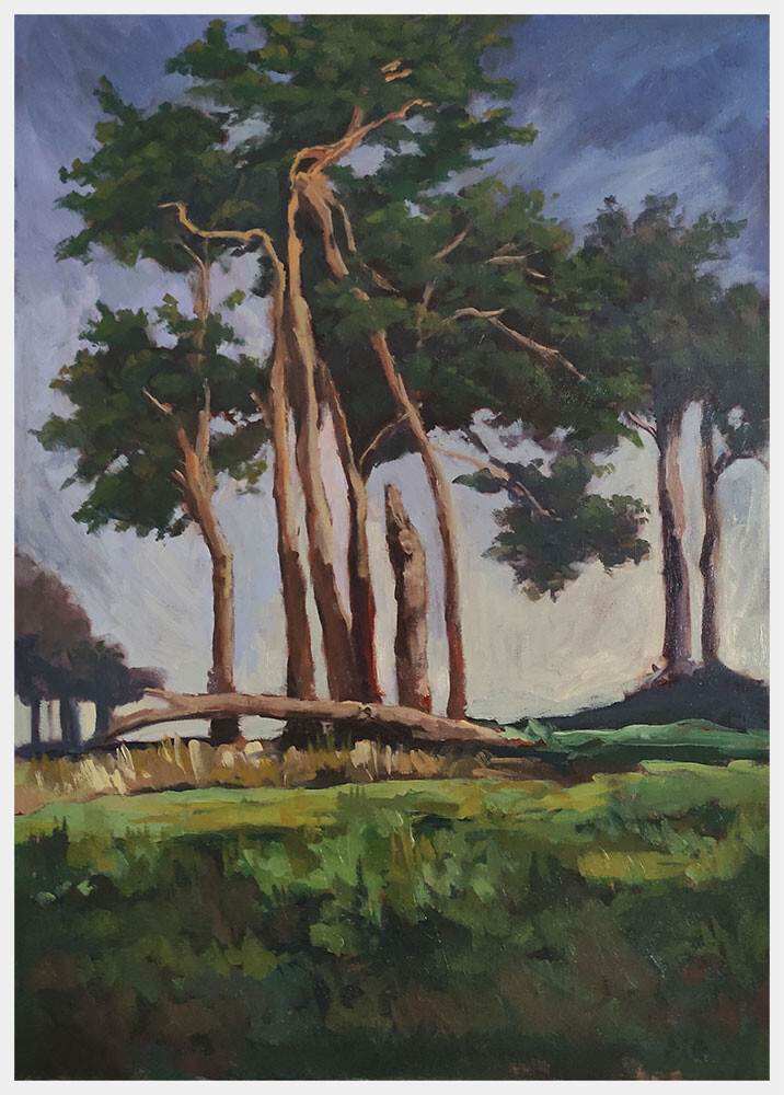 ArtStation - Tatton pines