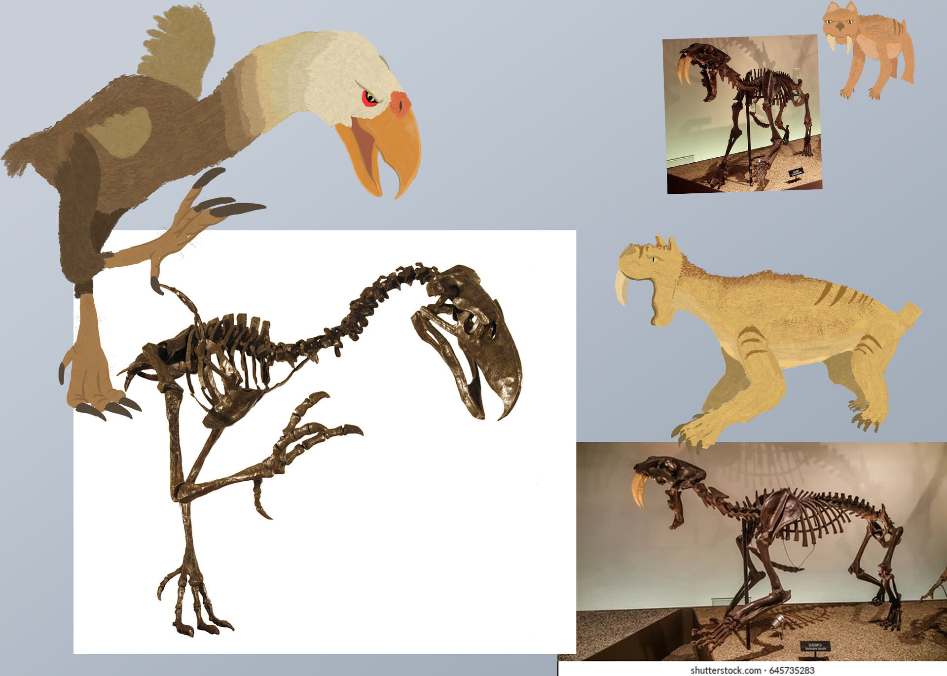 terror bird skeleton