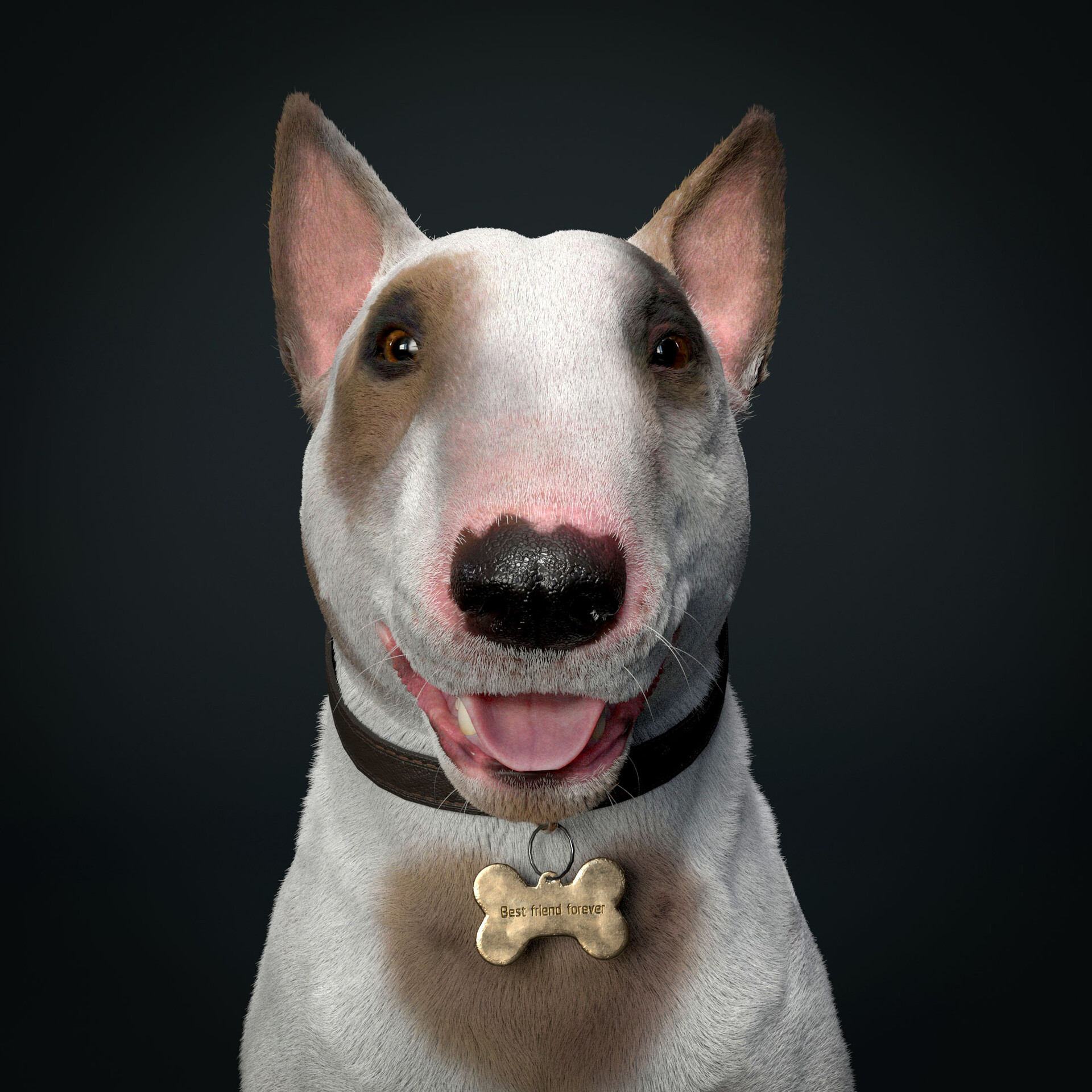 ArtStation - Friendly bull terrier wanna play ball with you