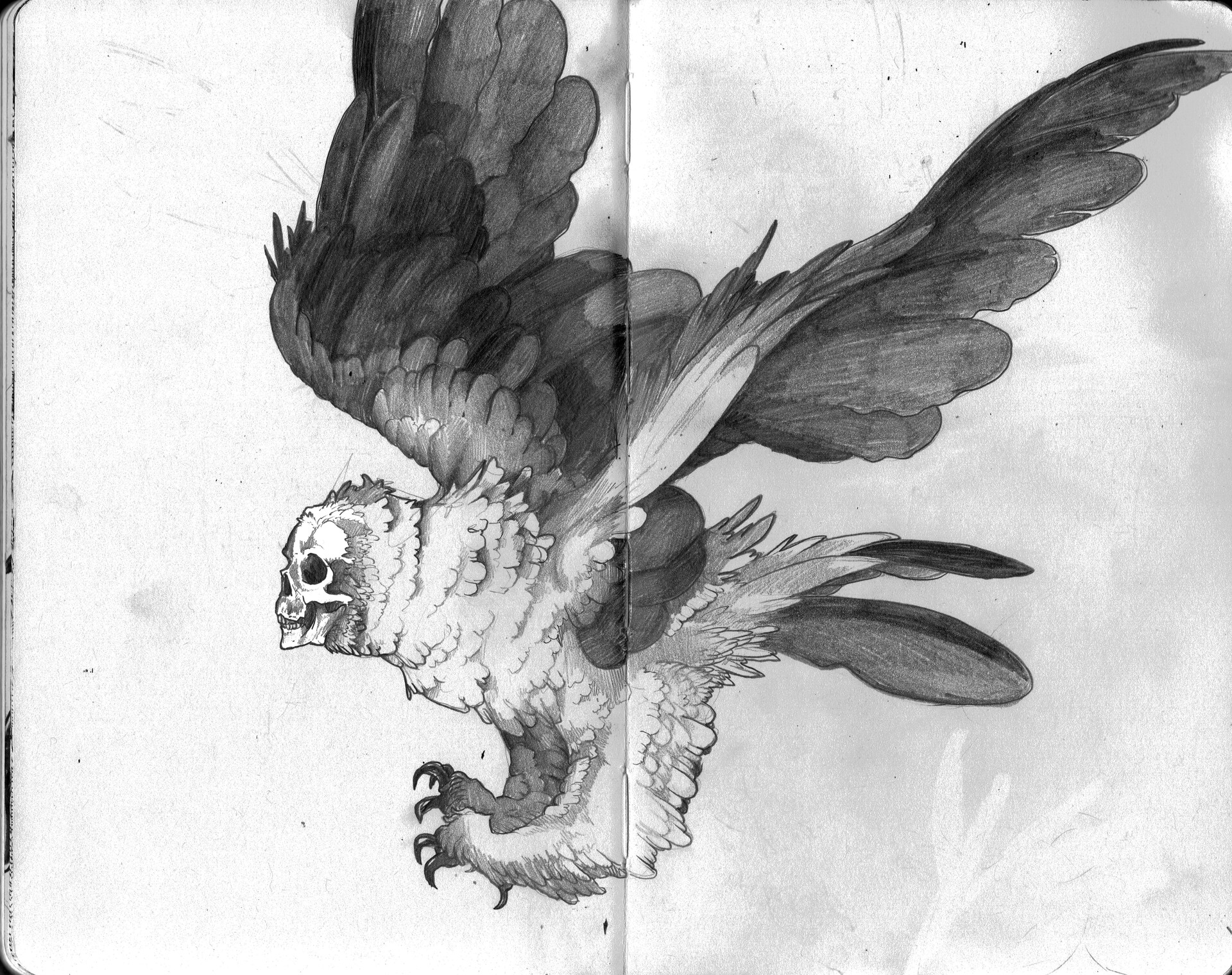 ArtStation - death owl