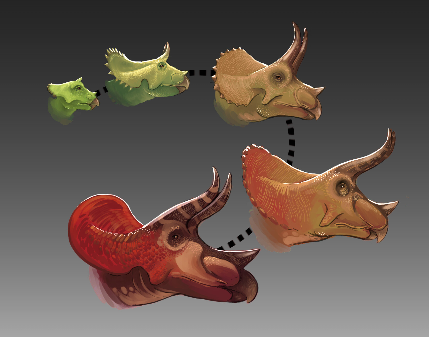 ArtStation - Triceratops Horridus growth stages