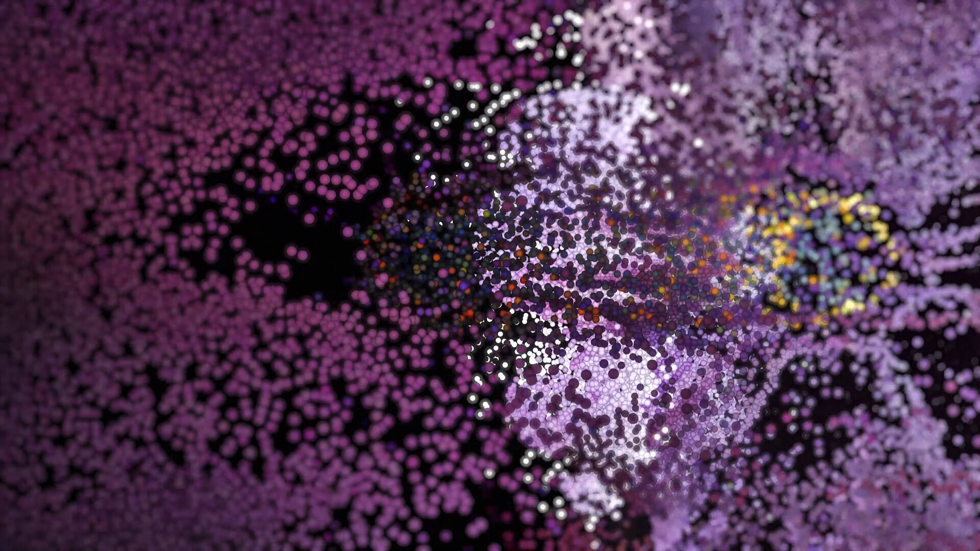 Gary Bird - BELLE FLEUR