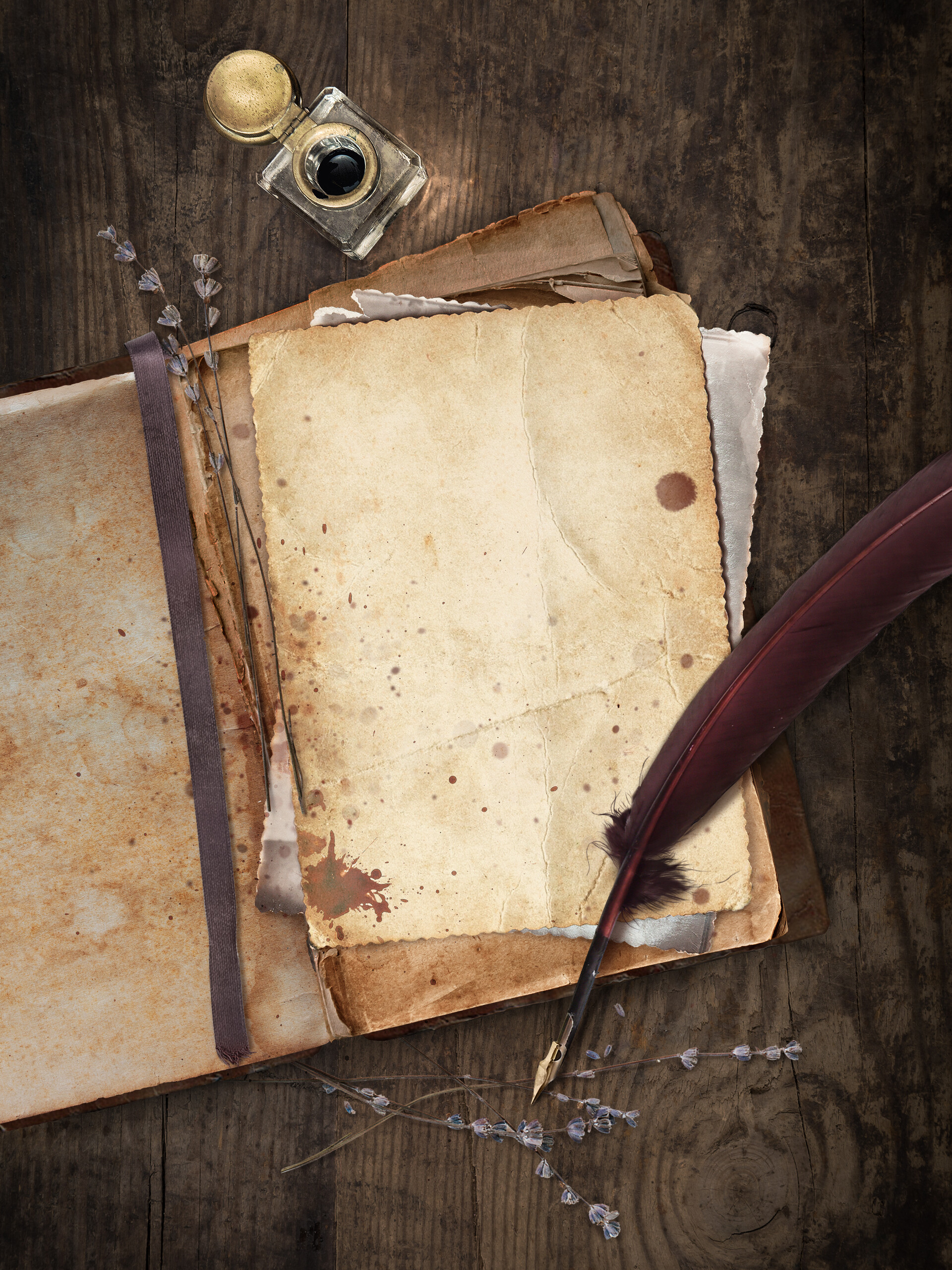 ArtStation - Elizabet Diary