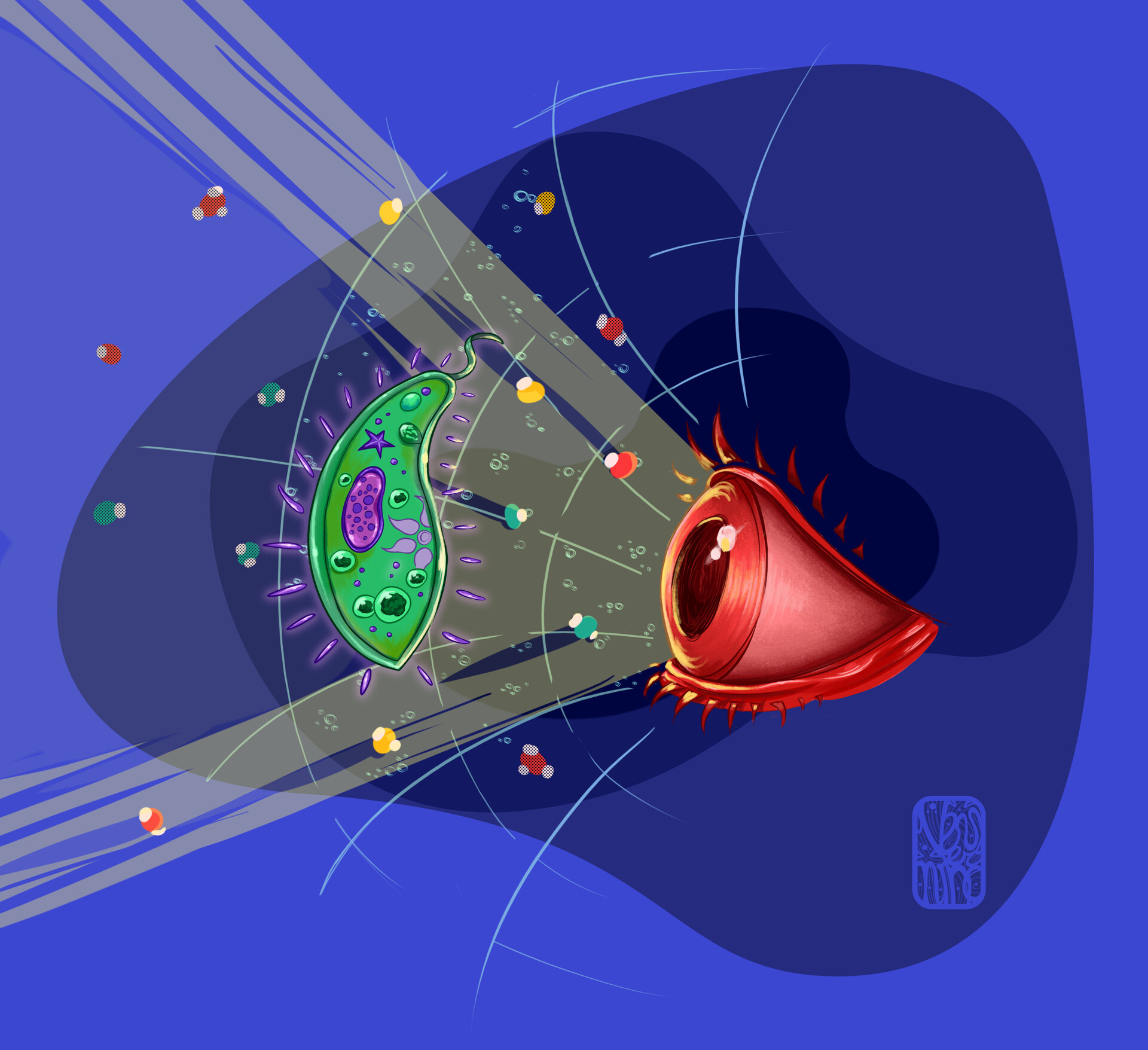 Kate Kuzmina - highlight the problem