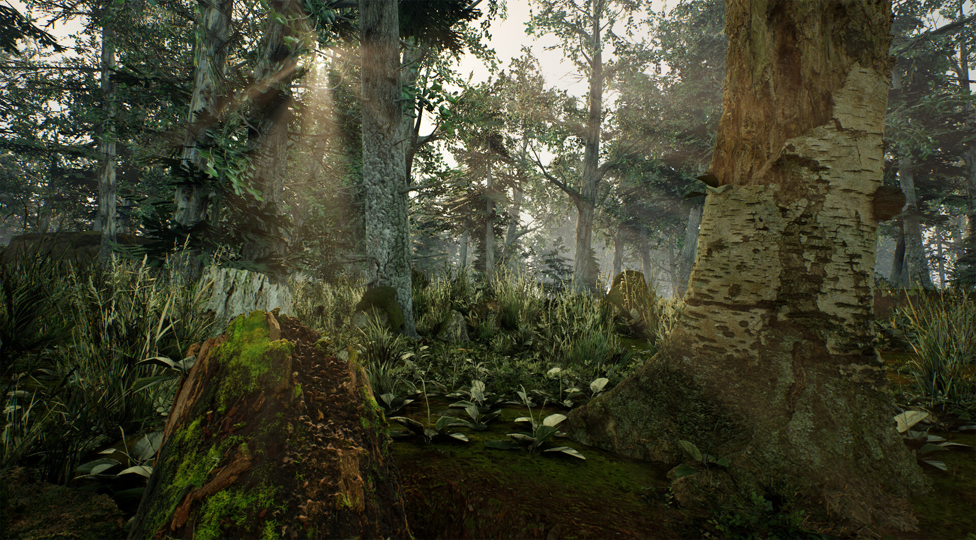 ArtStation - Forest - photorealism study with UE5