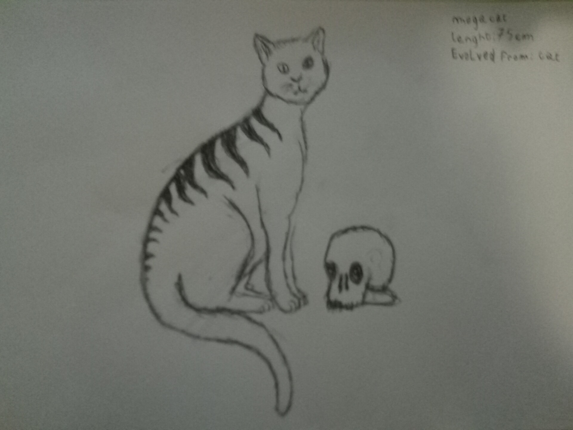 ArtStation - Speculative evolution doodles