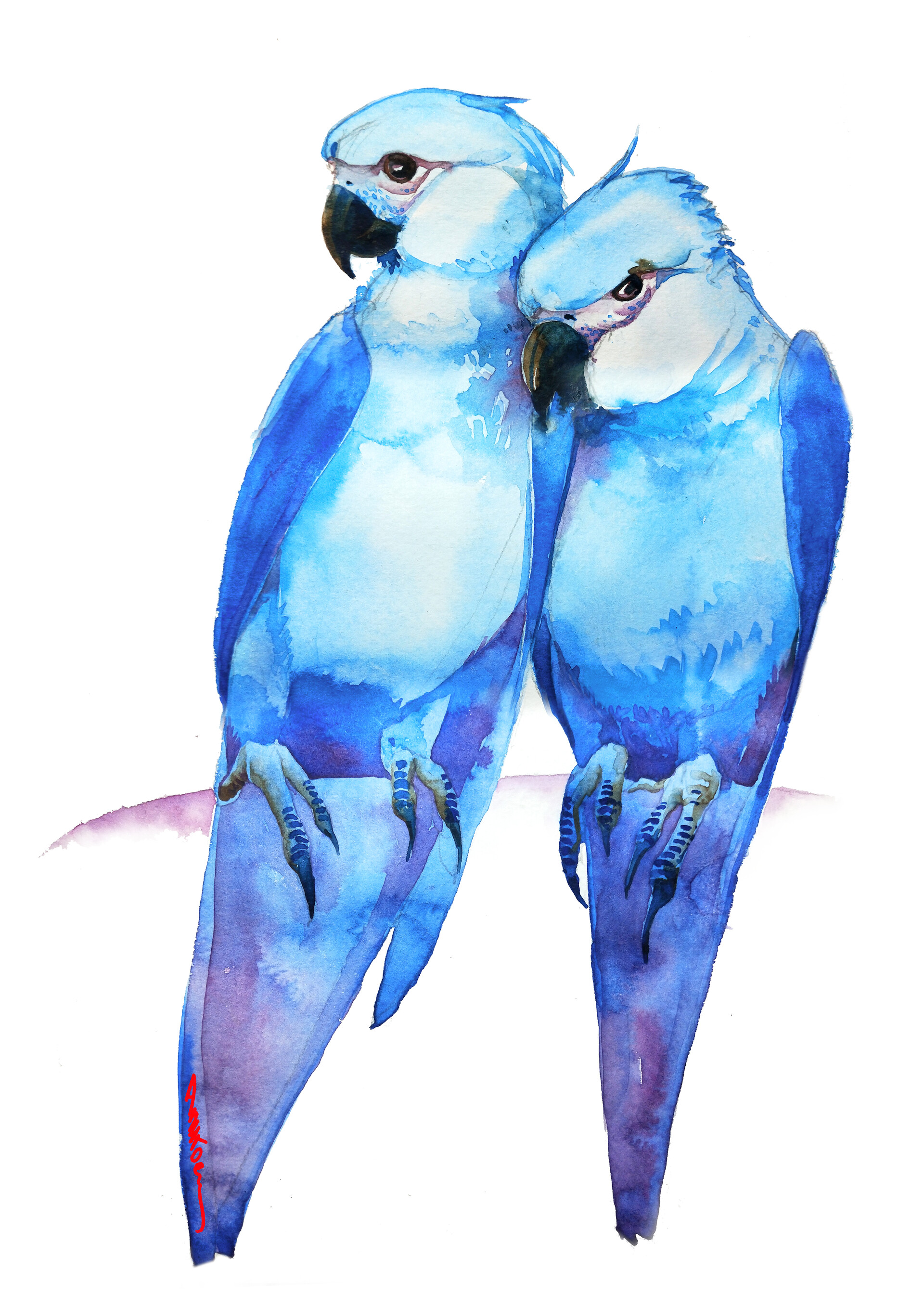 ArtStation - Spix Macaw in Watercolor