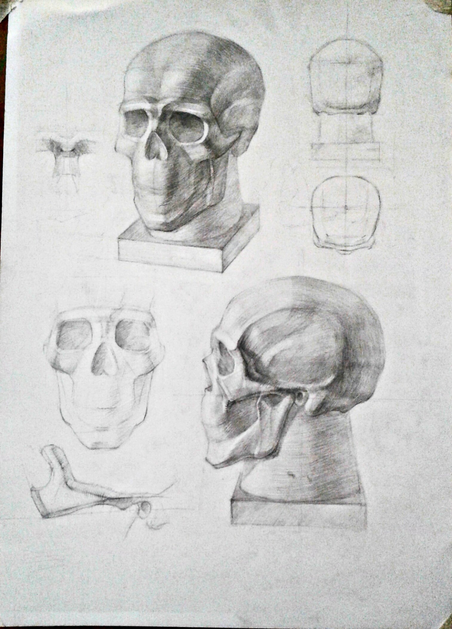 ArtStation - academic drawing