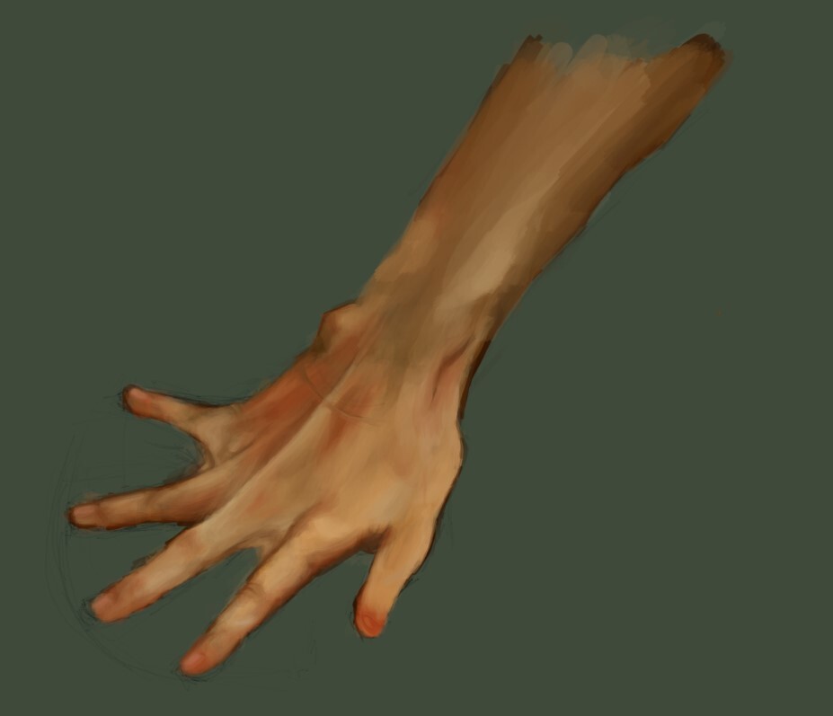 ArtStation - Hand sketch