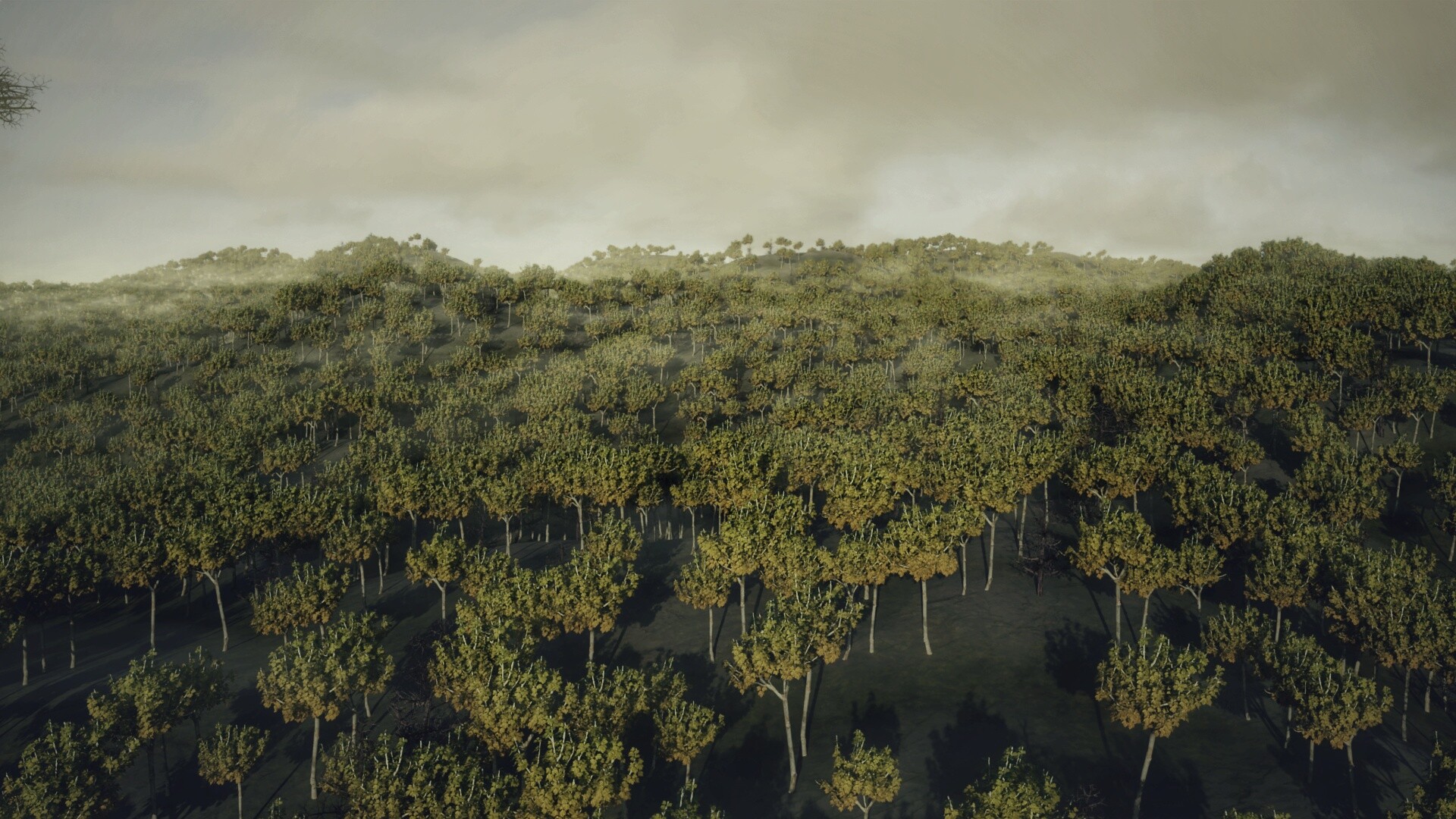 ArtStation - Environment modeling ,texturing & Lighting