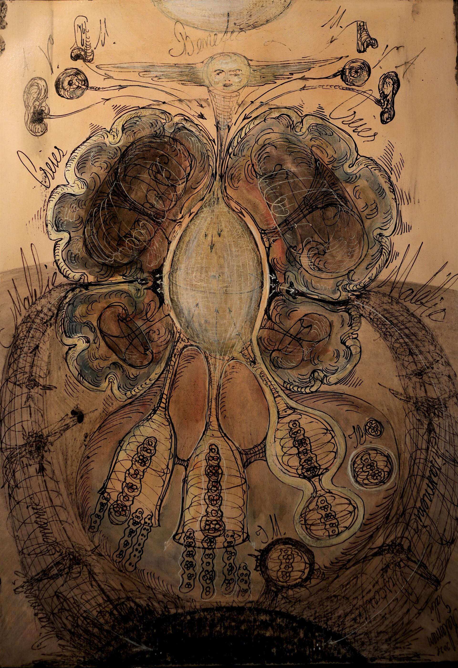 ArtStation - Human brain Beneficent Maleficent