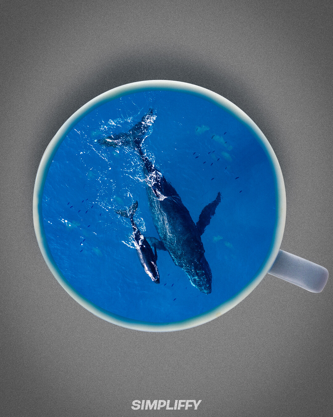 ArtStation - The cup of life