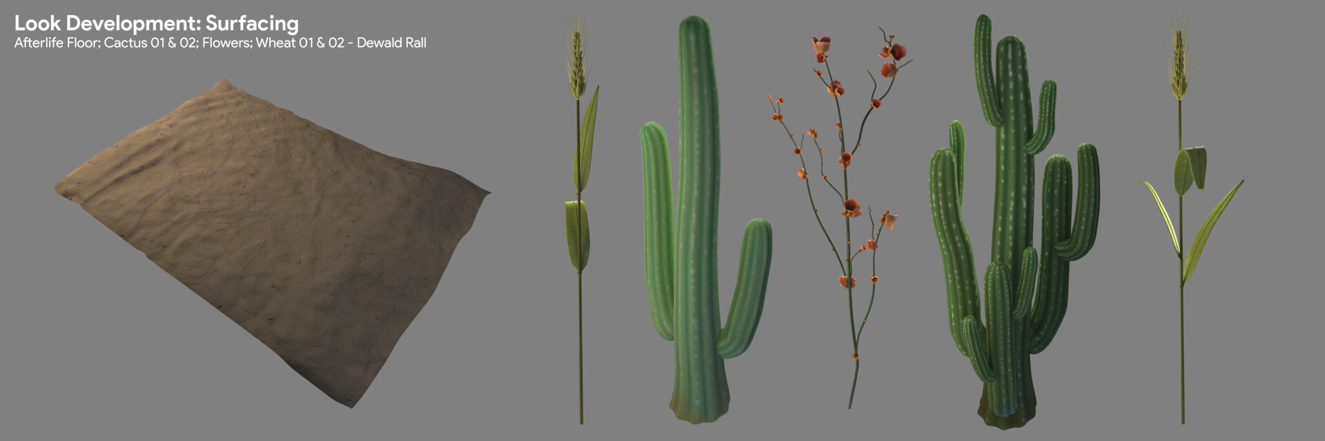 Dewald Rall - Short Film Character and Prop Surfacing (Student Work)