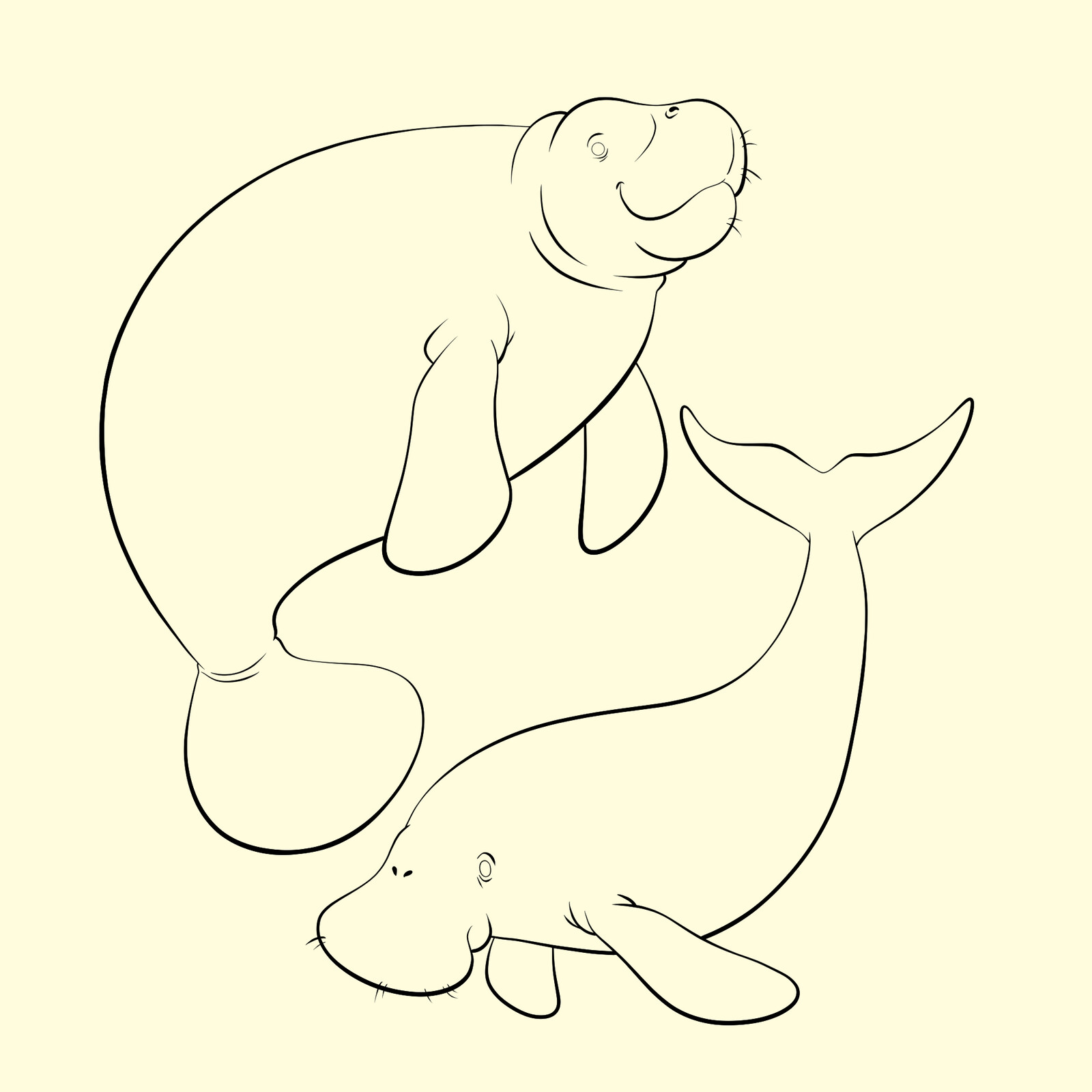 Kayla Clifford - Manatee and Dugong