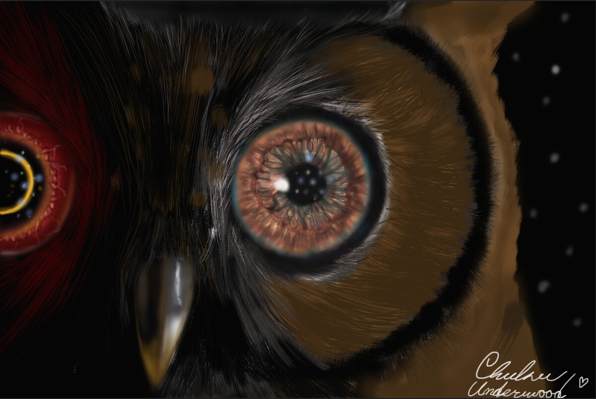 ArtStation - Realistic Owl Digital Painting