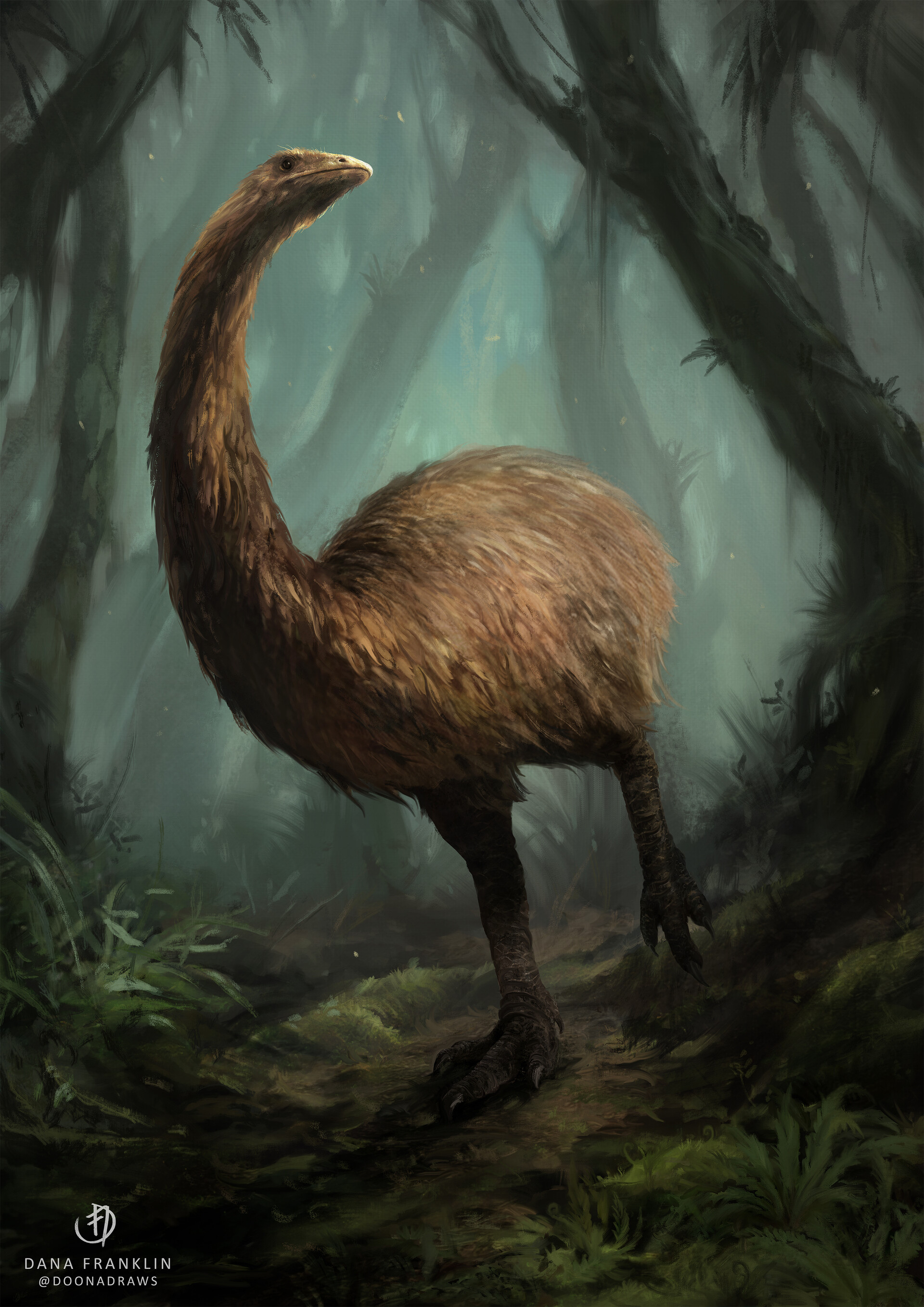 1000 AD, New Zealand; a giant Moa makes its way through the forest; art ...