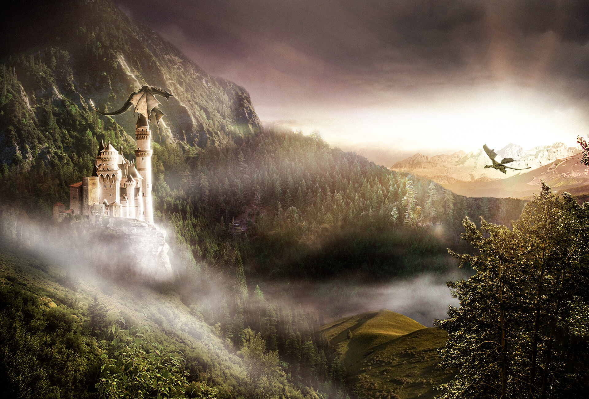 ArtStation - Dragons Valley