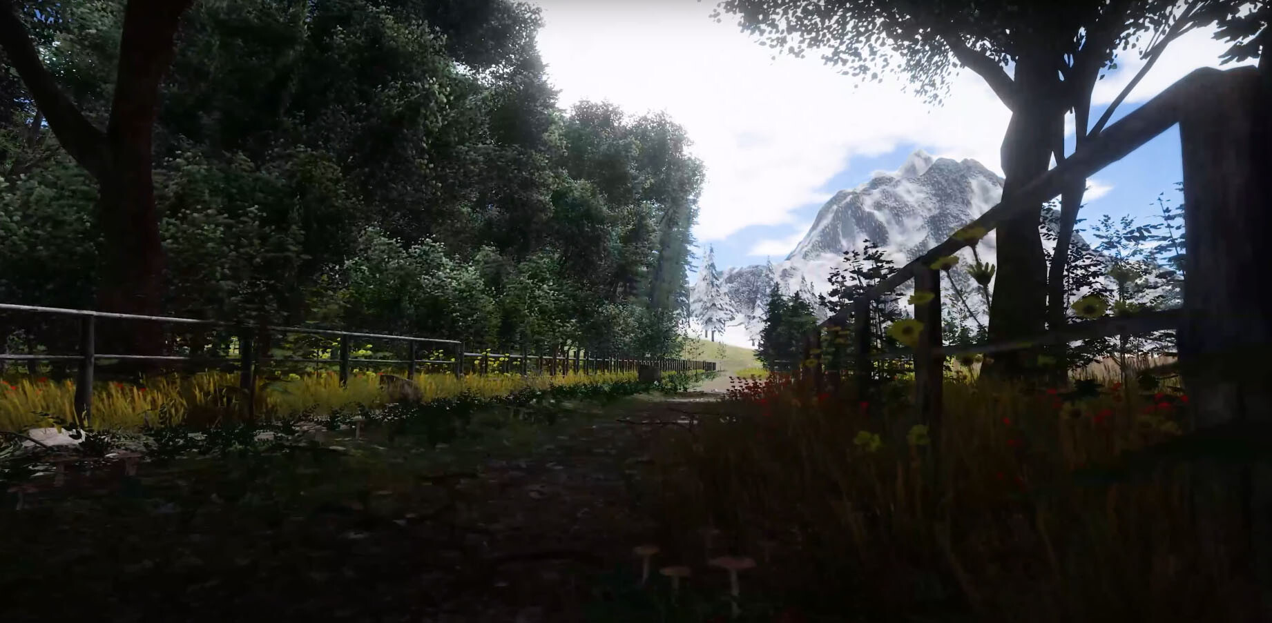 ArtStation - Unity Engine terrain test