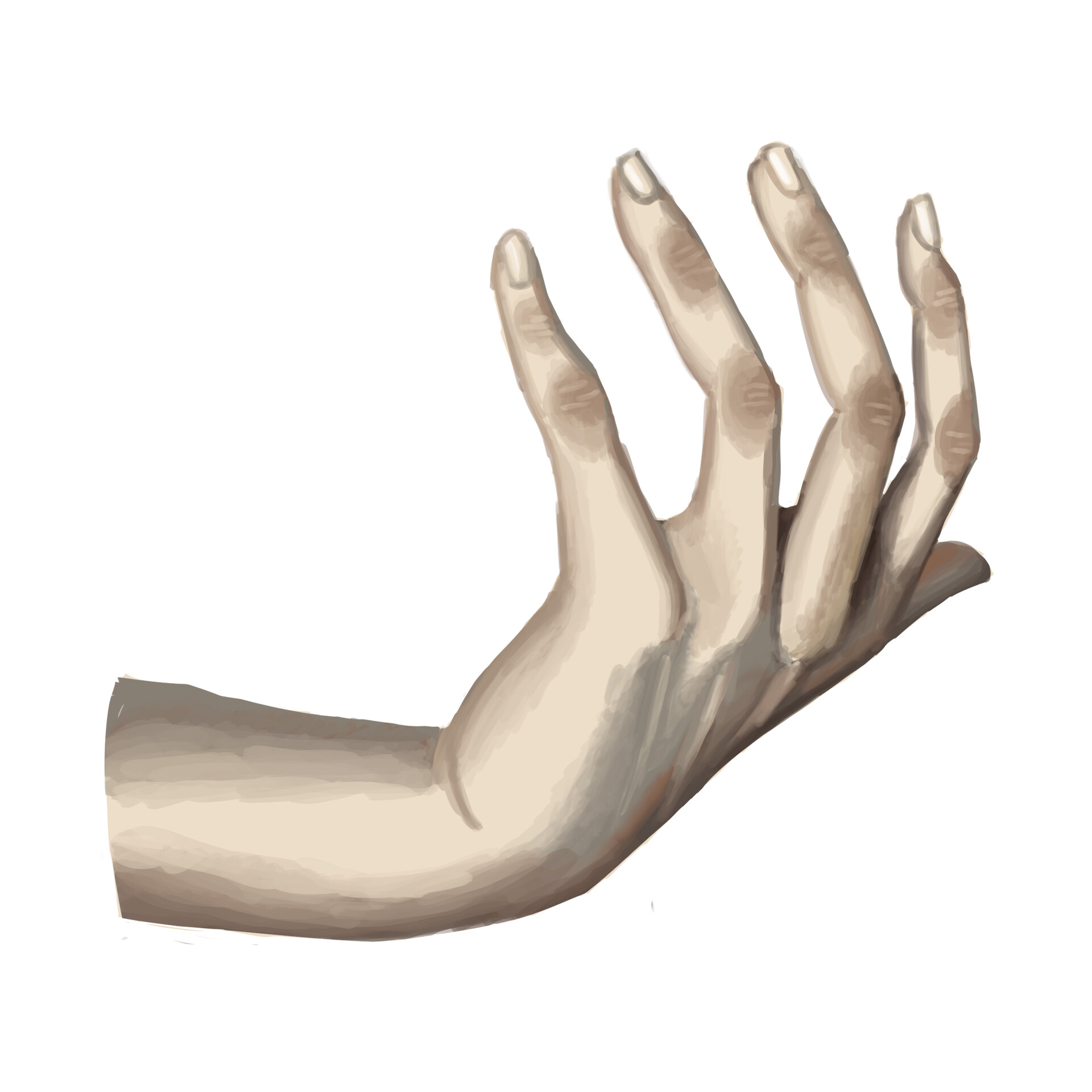 ArtStation - Hand study