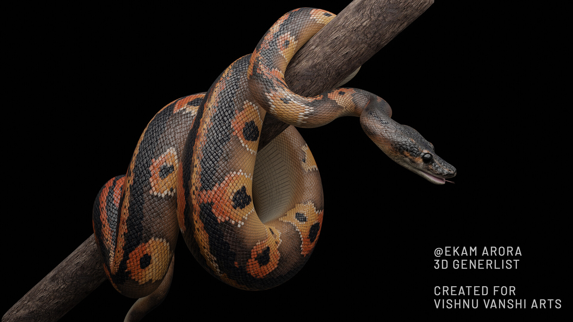 ArtStation - ball python