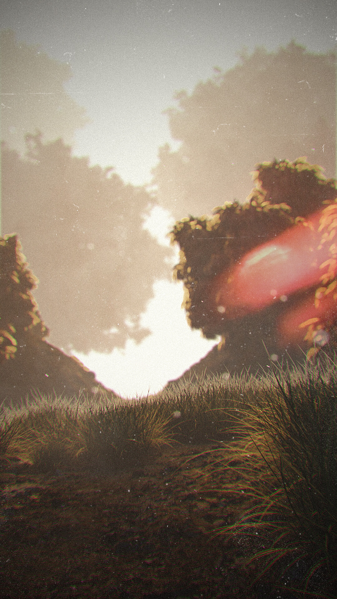 ArtStation - Evening Dream