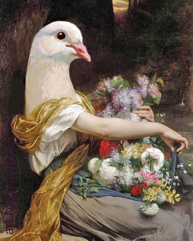 Miguel Matos Official - Os Pássaros na História da Arte (Miguel Matos)