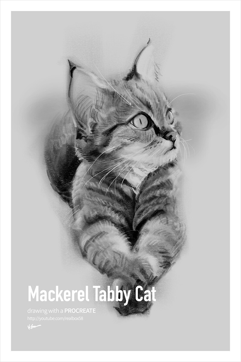 ArtStation - Mackerel Tabby Cat