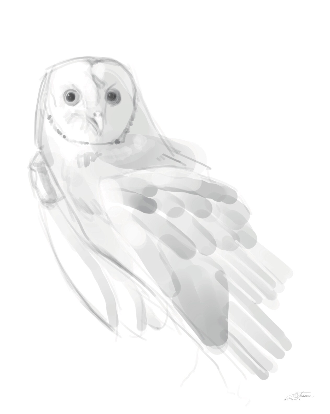 ArtStation - Owl