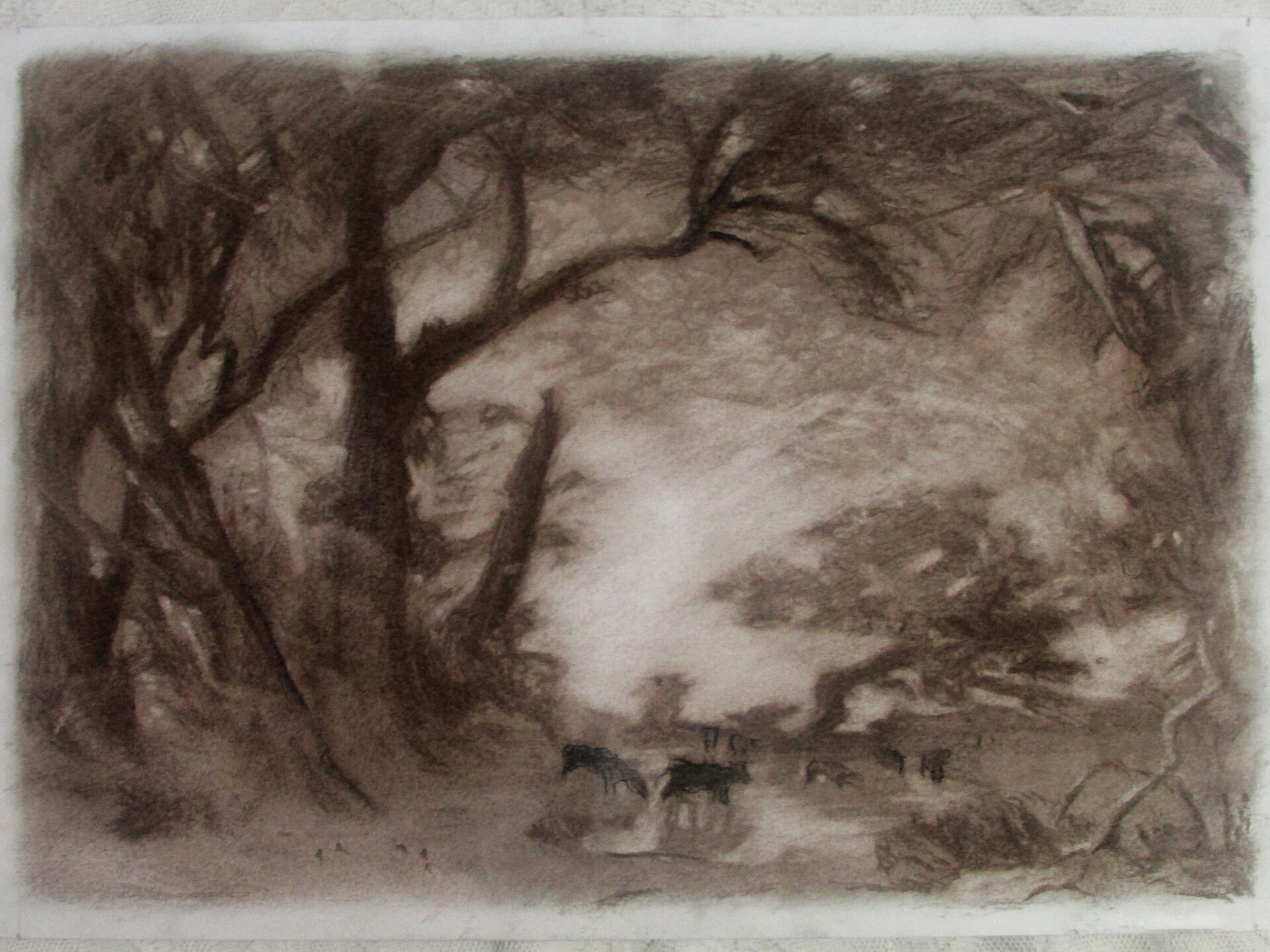 ArtStation - Meadow - Charcoal study