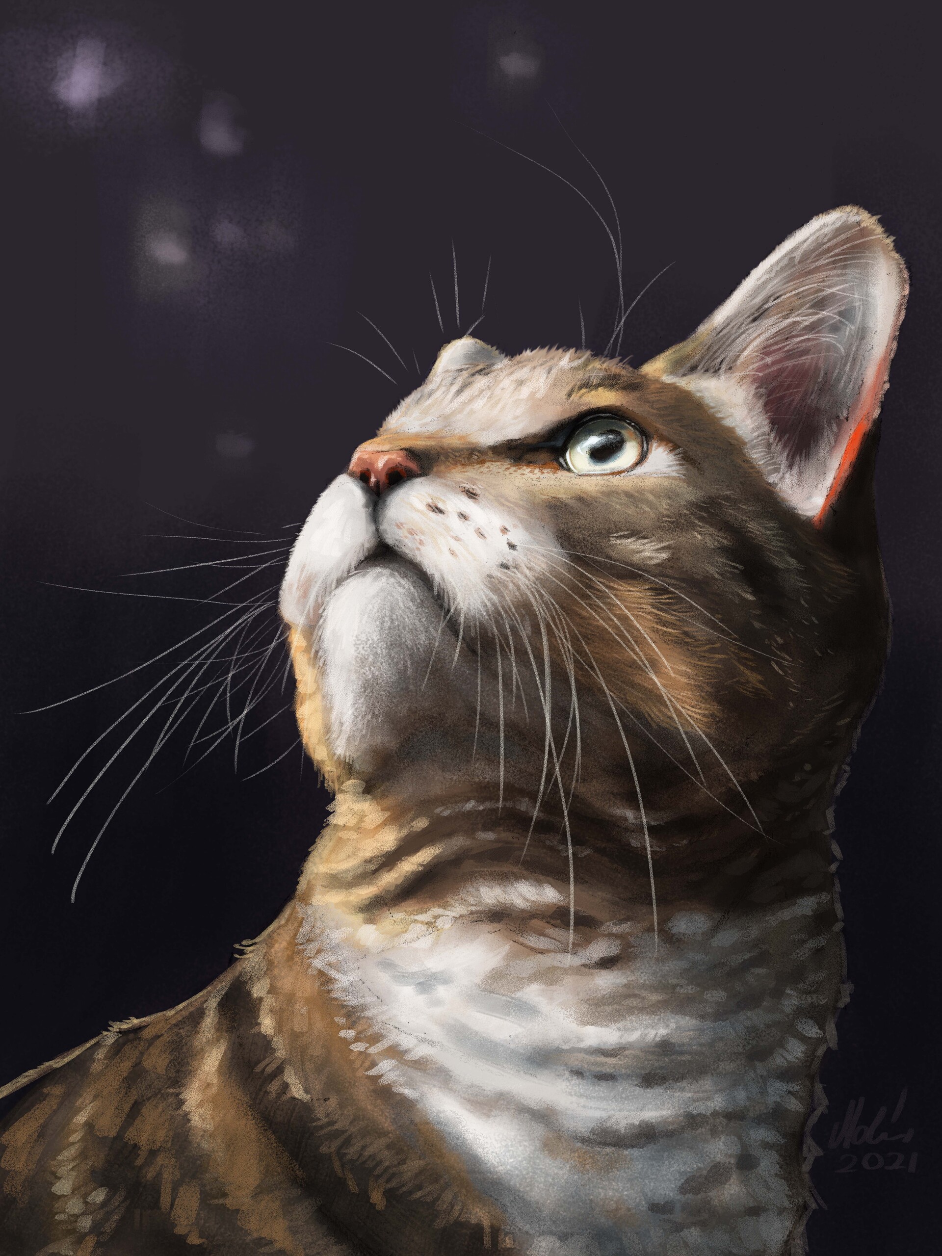 ArtStation - Cat