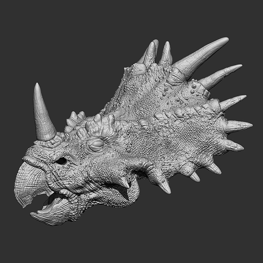 ArtStation - Styracosaurus Head (for 6 inch - 1:12 scale - custom ...