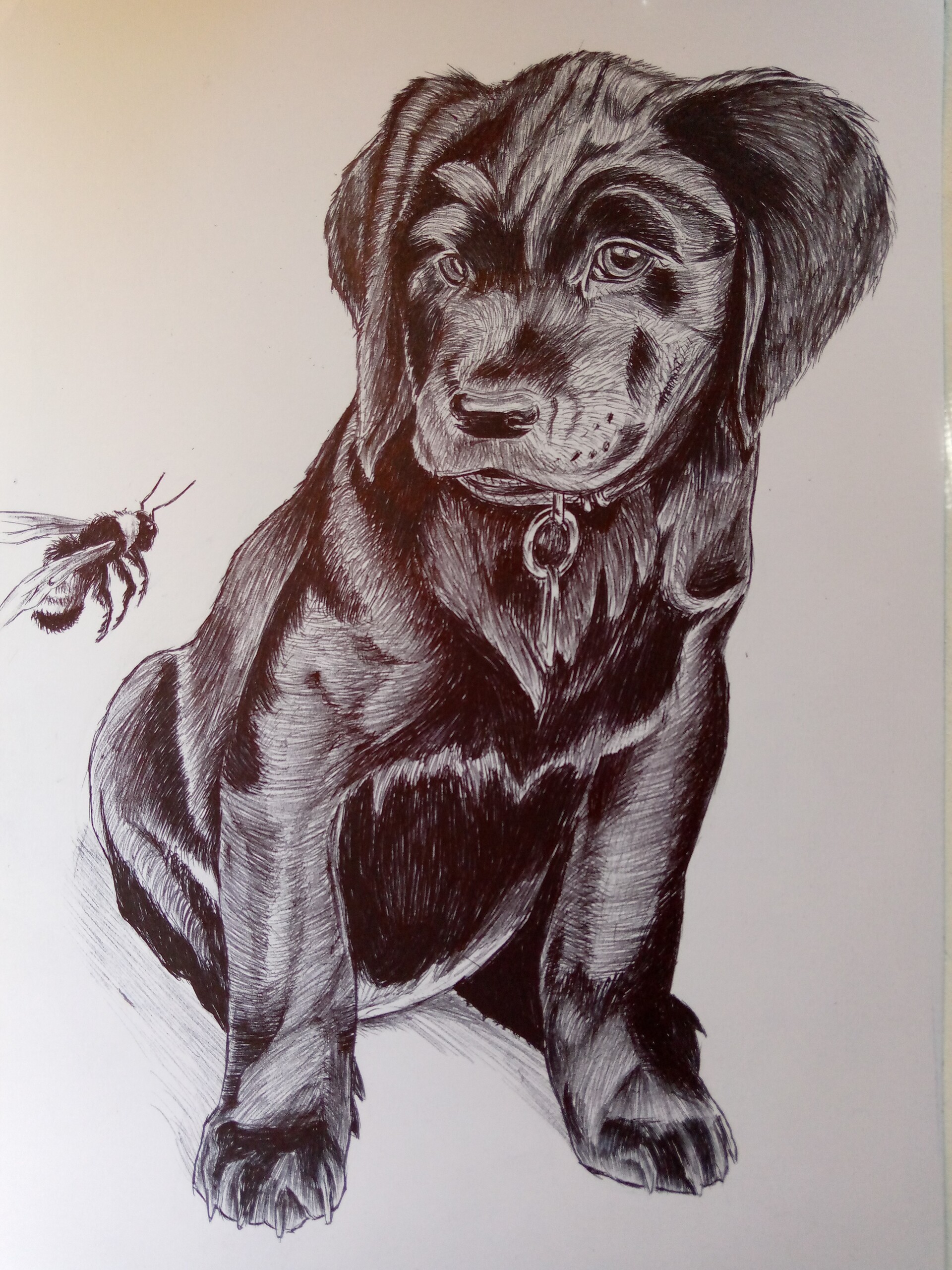 ArtStation - Puppy and bee.