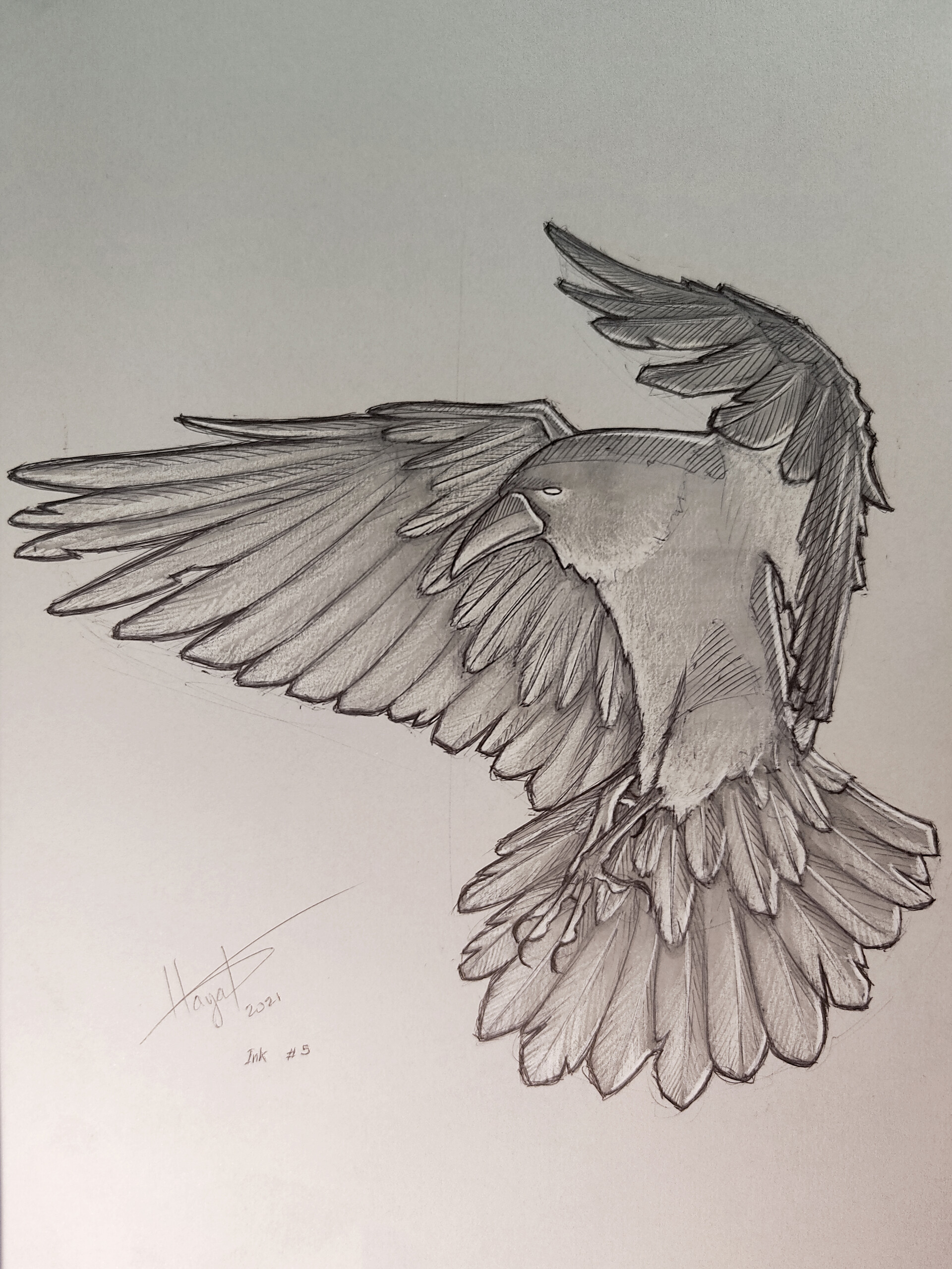 ArtStation - Ink No. 5 - Raven