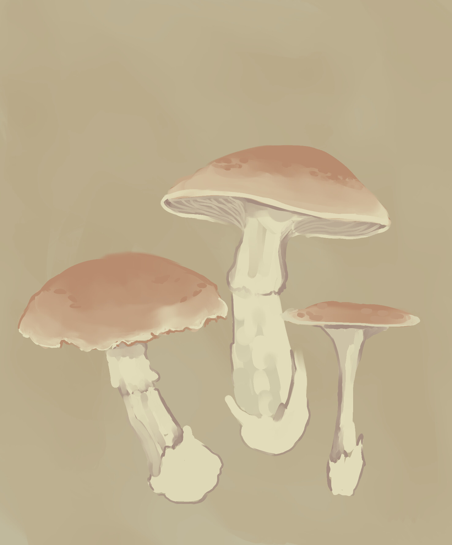 ArtStation - Death Cap Mushroom Study